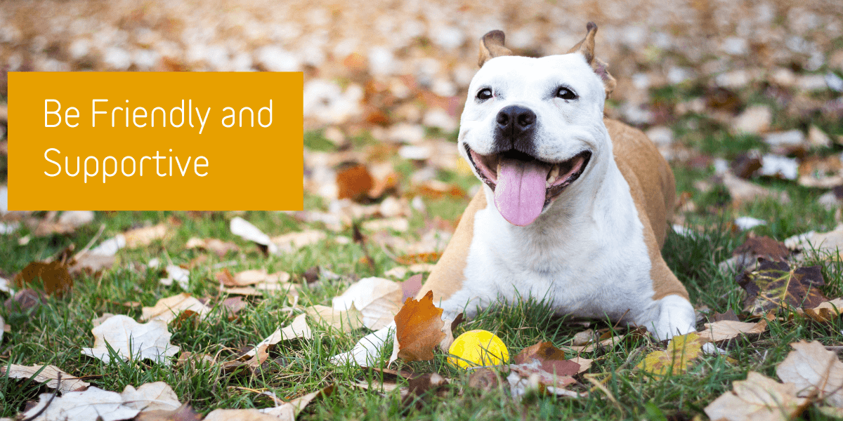 How to Keep Your Accounting Clients Coming Back for More ⭐