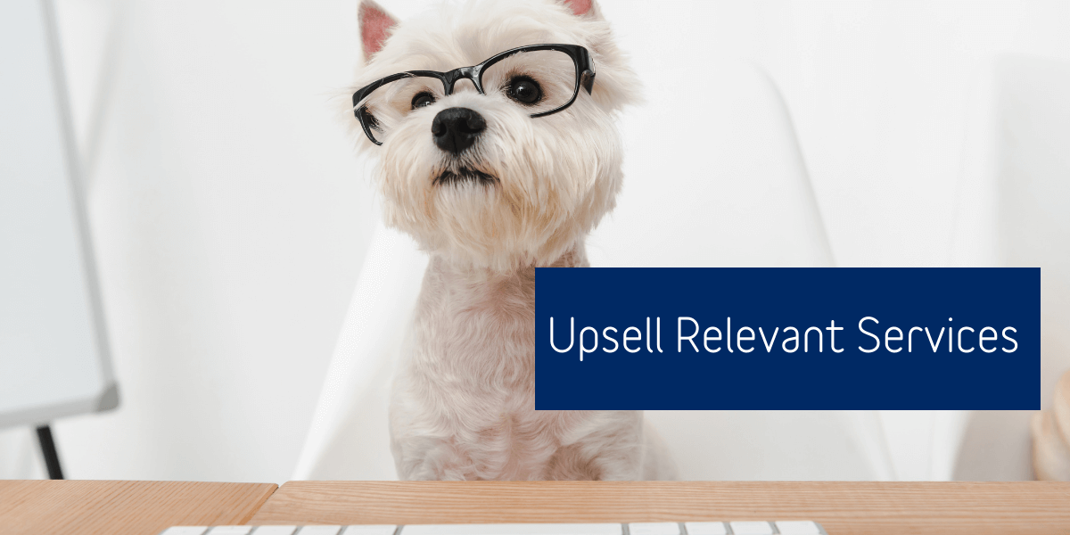 How to Keep Your Accounting Clients Coming Back for More ⭐